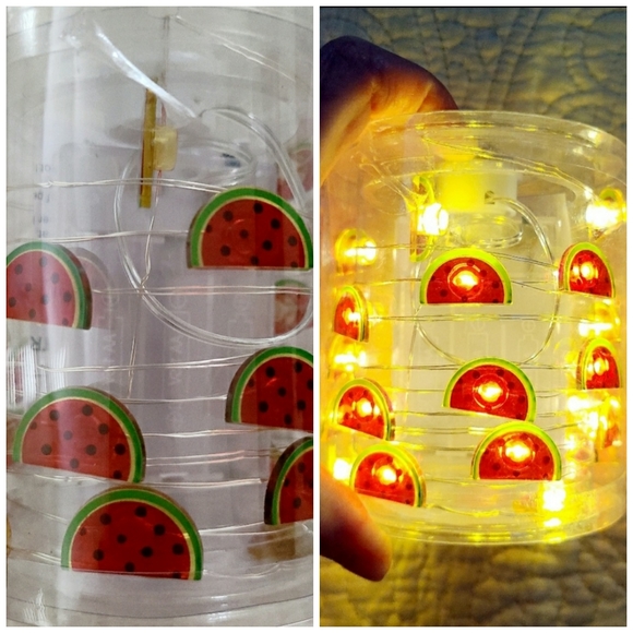 Place & Time | Accents | 5 Offnwt String Of Watermelon Led Rice Lights ...